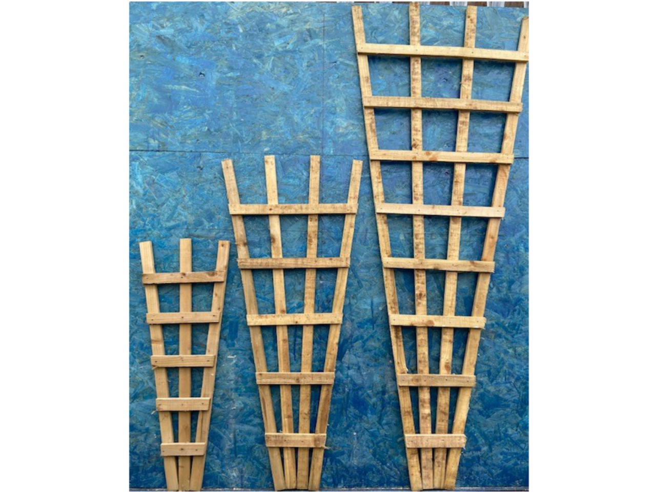 Fan Trellis | Fences & Patios R Us